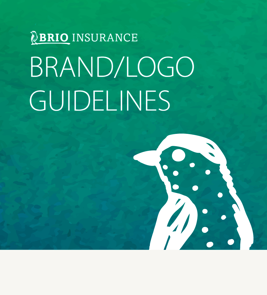 Brio Brand and Logo Guidelines - Brio Insurance